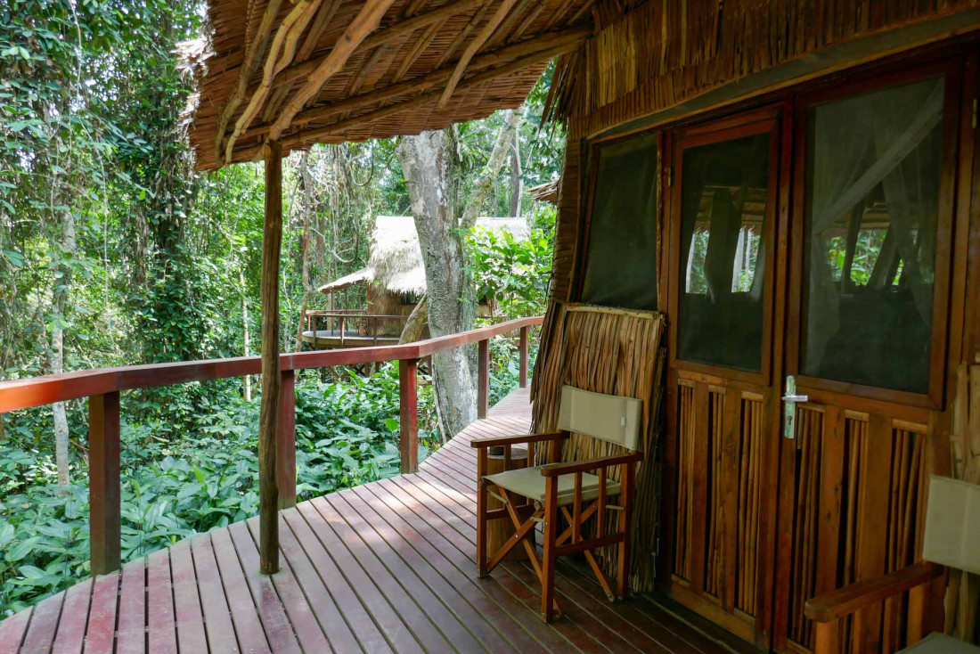 Kamba Africa : quand l’hospitalité devient un outil de conservation